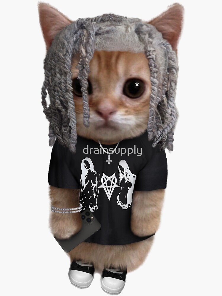 "Destroy Lonely Kitty" Sticker for Sale by drainsupply | Redbubble