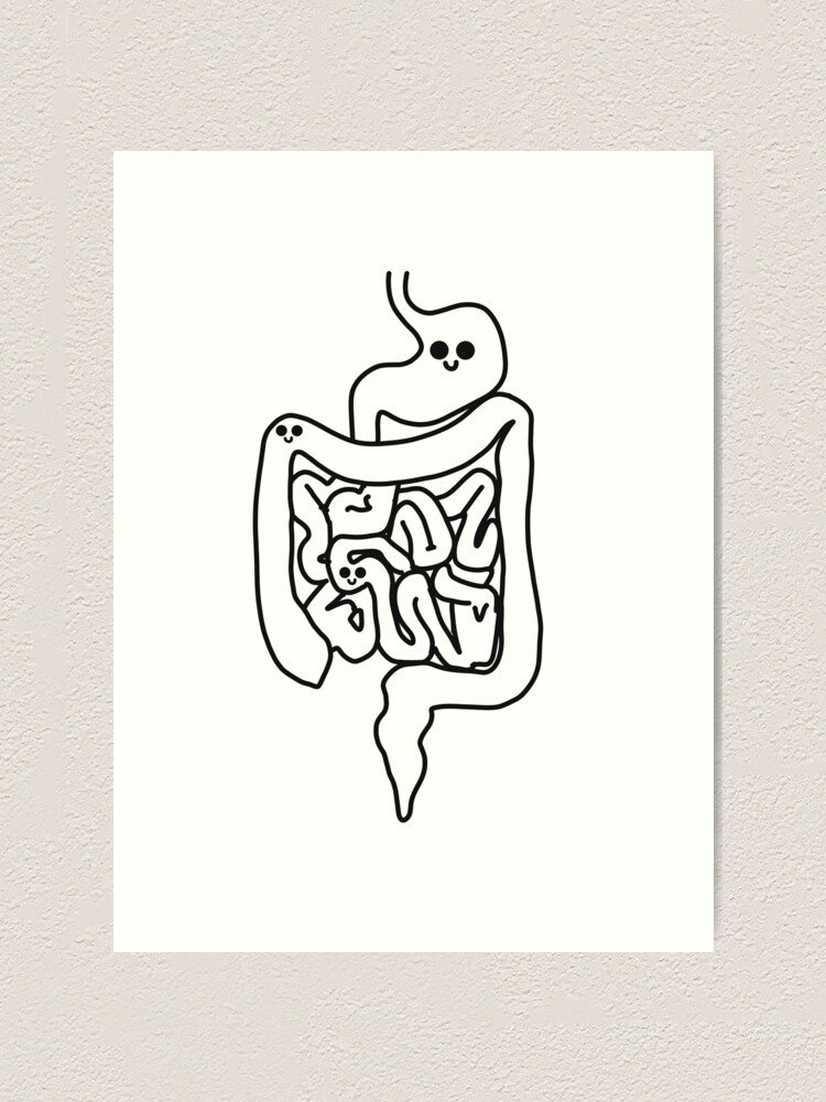 "Cute kawaii Digestive system medical lineart" Art Print for Sale by ...