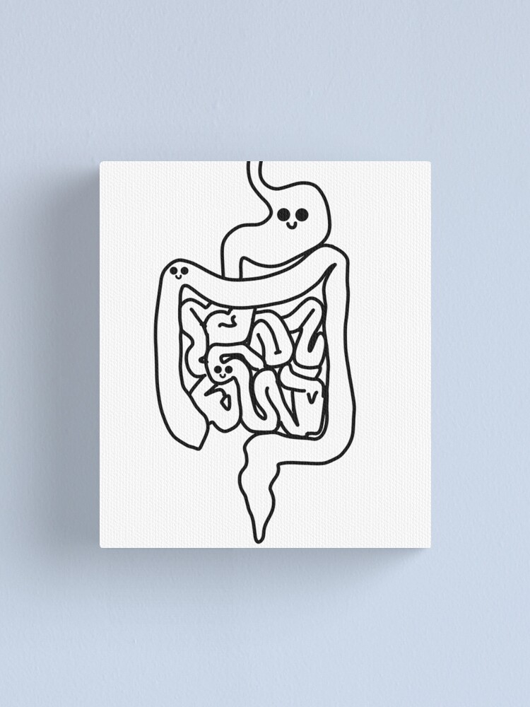 "Cute kawaii Digestive system medical lineart" Canvas Print for Sale by ...