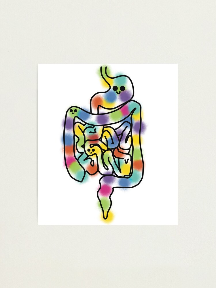 "Rainbow Cute kawaii Digestive system medical lineart" Photographic ...