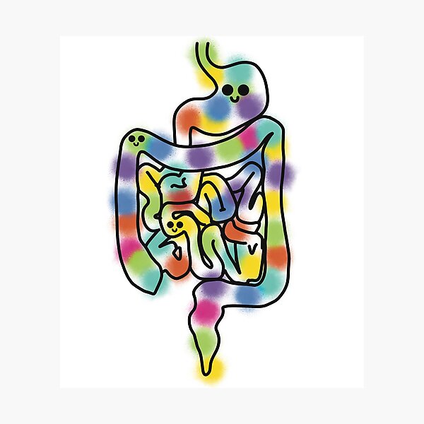 "Rainbow Cute kawaii Digestive system medical lineart" Photographic ...