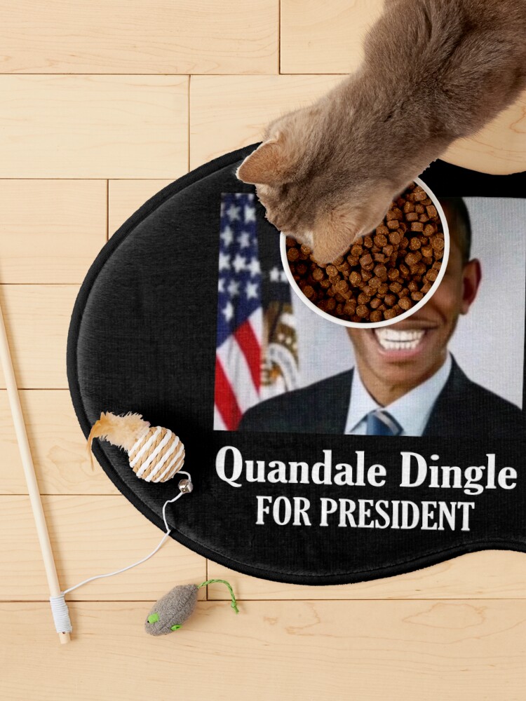 "QUANDALE DINGLE FOR PRESIDENT - QUANDALE DINGLE MEME" Pet Mat by ...