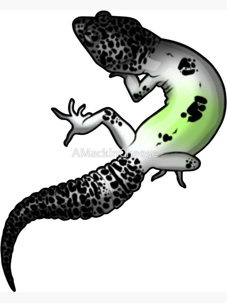 "Leopard Gecko Agender Pride Flag Design" Poster for Sale by ...