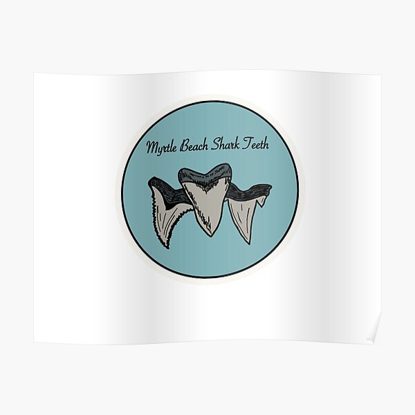 "Myrtle beach shark teeth " Poster for Sale by Alyssas6299 | Redbubble