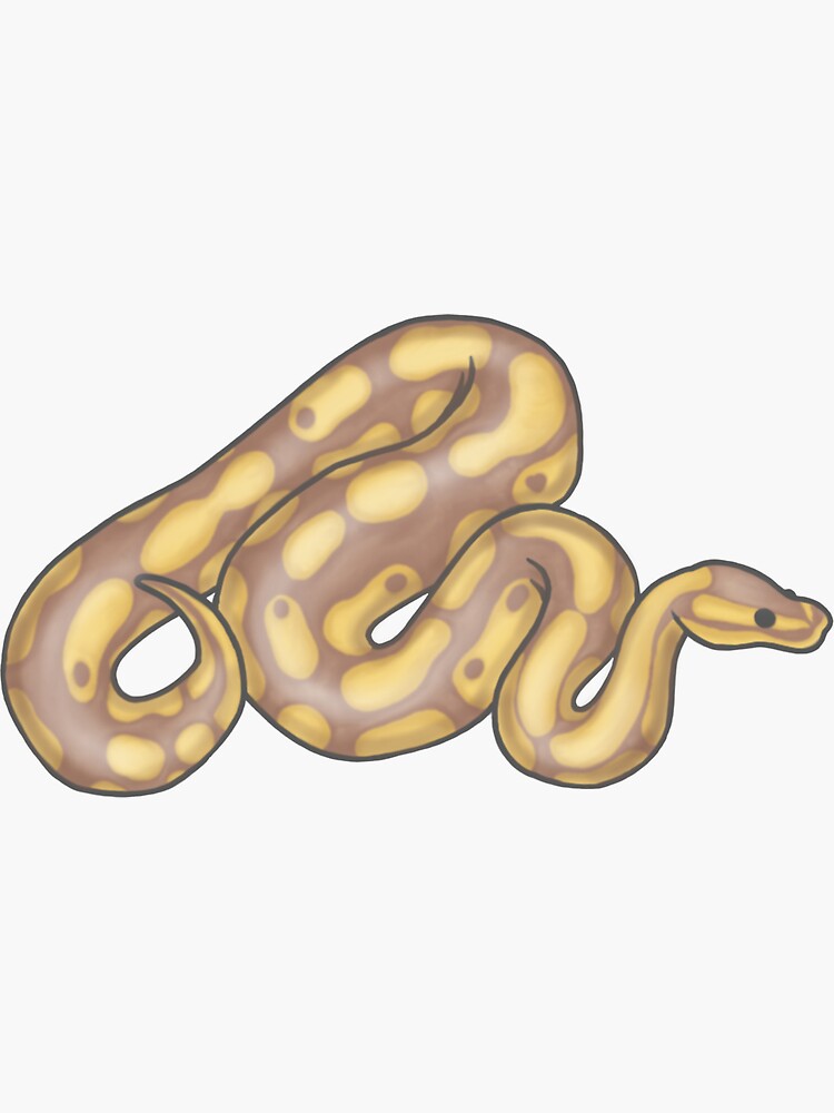 "Banana ball python " Sticker for Sale by CordieDittus | Redbubble