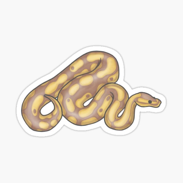 "Banana ball python " Sticker for Sale by CordieDittus | Redbubble