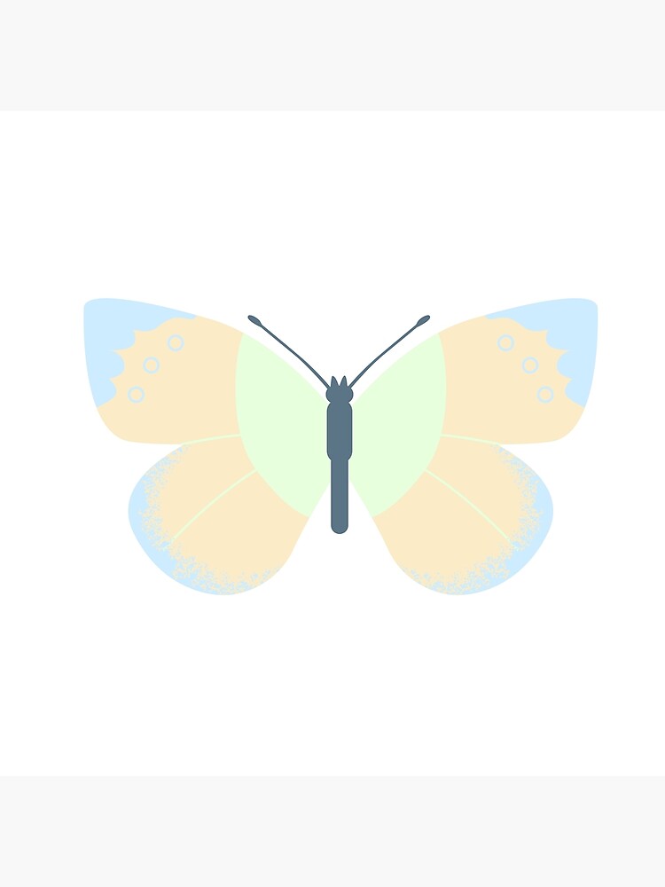 "Unlabeled flag colours butterfly design " Poster for Sale by Holly ...