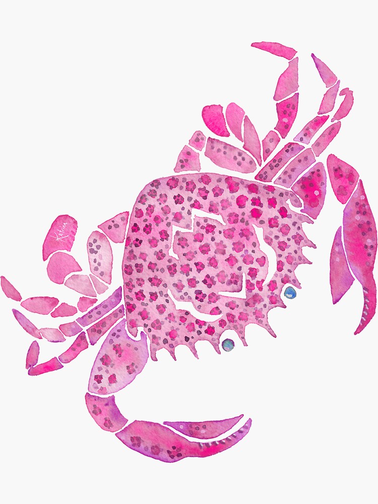 "Pink Lady Crab" Sticker for Sale by ShellPink | Redbubble