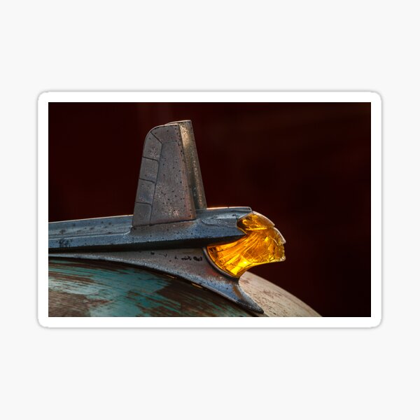 "Pontiac Patina" Sticker for Sale by dlhedberg | Redbubble