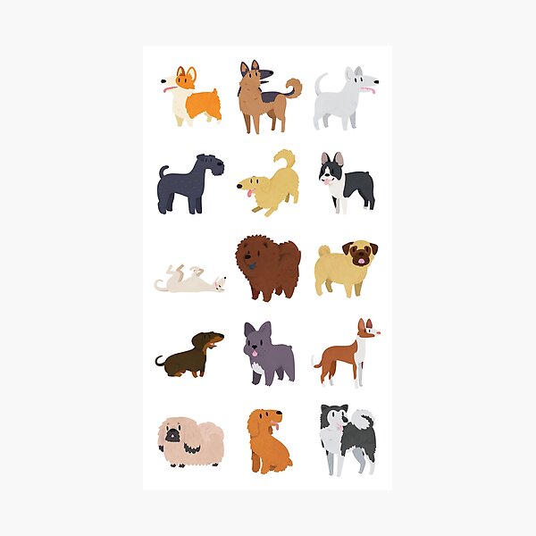 "Dog Breeds Pattern" Photographic Print for Sale by Claire Stamper ...
