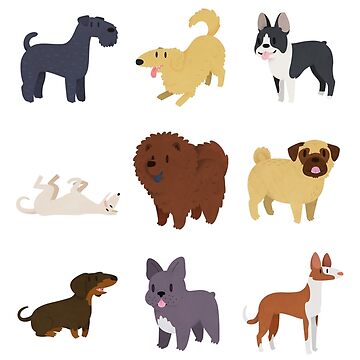 "Dog Breeds Pattern" Photographic Print for Sale by Claire Stamper ...