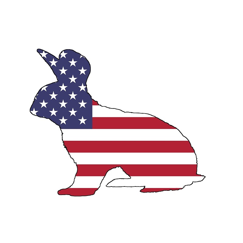 "American Flag – Rabbit" by DelirusFurittus | Redbubble