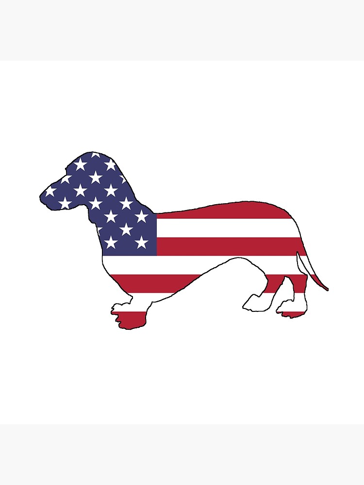 "American Flag – Dachshund" Poster for Sale by DelirusFurittus | Redbubble