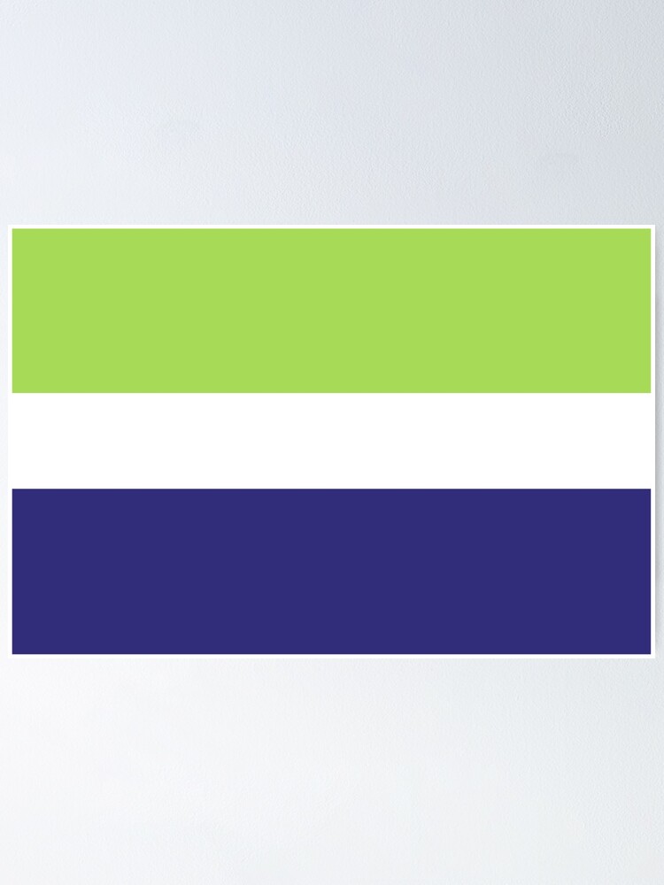 "Neopronouns - Pride Flag" Poster for Sale by FlagsWorld | Redbubble