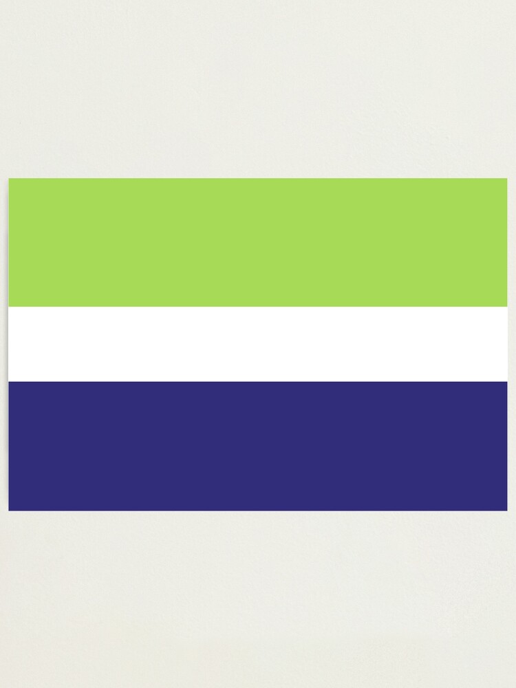 "Neopronouns - Pride Flag" Photographic Print for Sale by FlagsWorld ...