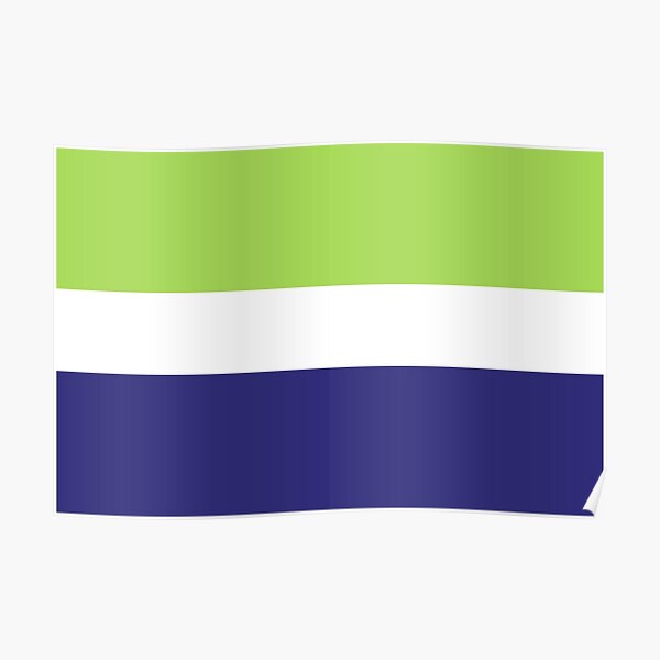 "Neopronouns - Pride Flag" Poster for Sale by FlagsWorld | Redbubble