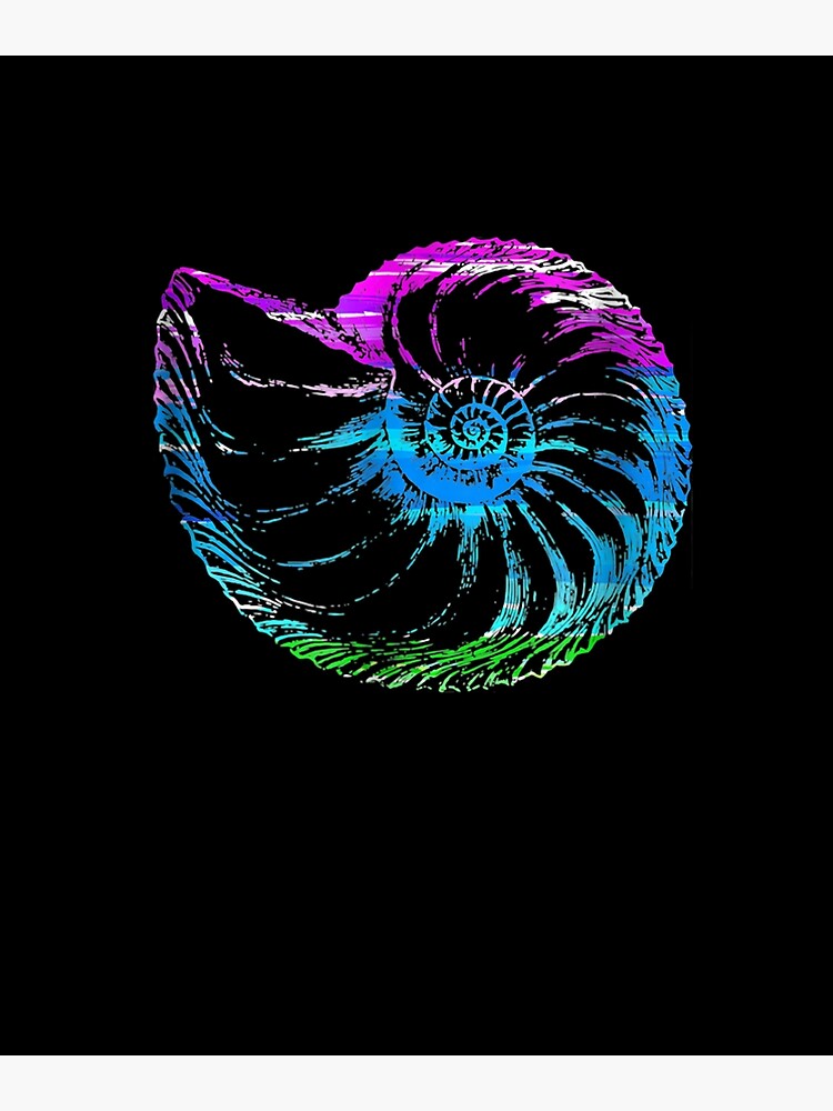 "Beautiful Nautilus Shell Cool Fibonacci Sequence " Poster for Sale by ...