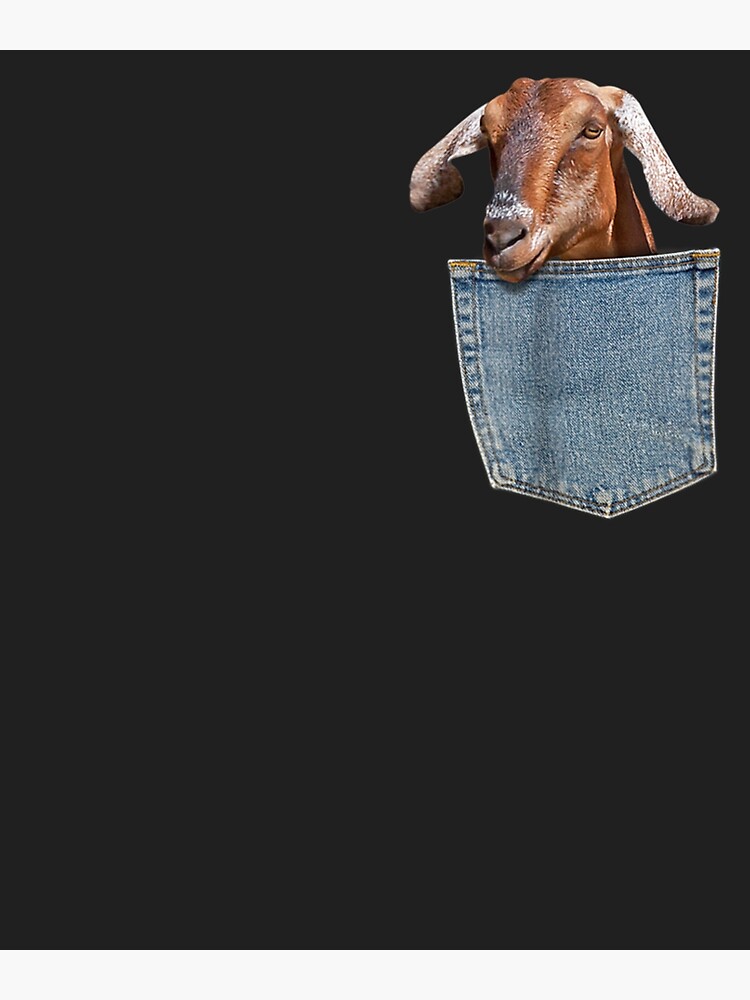"Goat Pocket Baby Goat Peeking Funny Goat Animal" Photographic Print ...