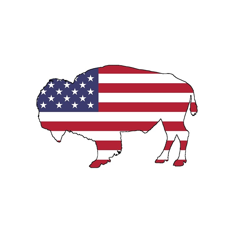 "American Flag – Bison" by DelirusFurittus | Redbubble