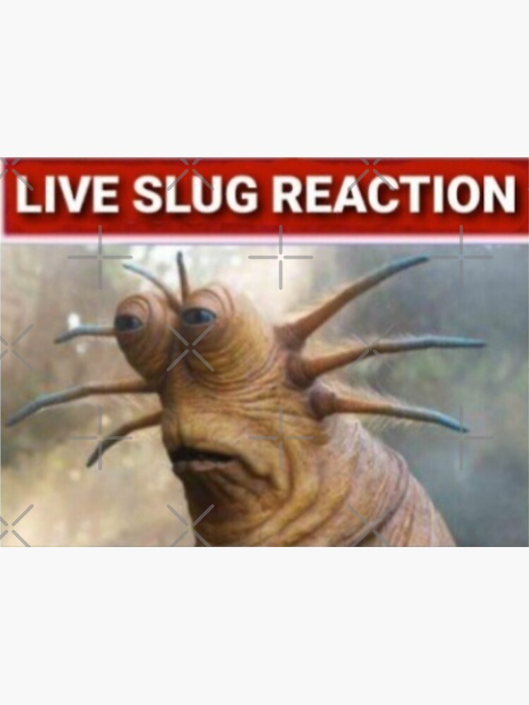 "Live Slug Reaction" Sticker for Sale by beeeboooop | Redbubble