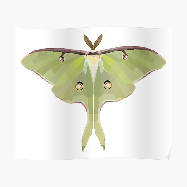 "Luna Moth Polygon" Poster for Sale by Ogulast | Redbubble