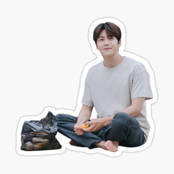 "kim seon ho" Sticker by peltekes | Redbubble