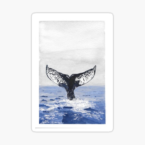 "Whale Fluke" Sticker for Sale by SamanthaGodwin | Redbubble