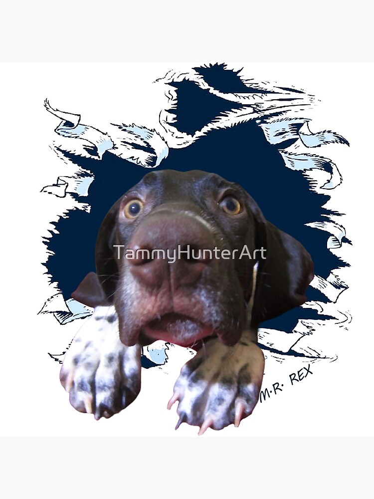 "GSP Funny face " Poster for Sale by TammyHunterArt | Redbubble