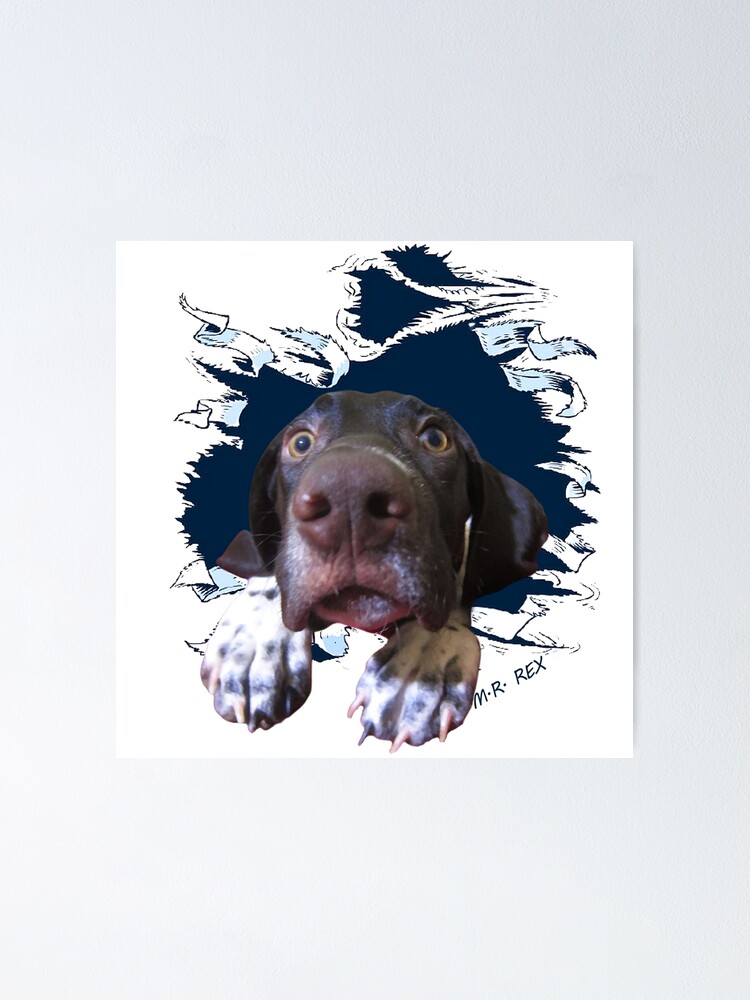 "GSP Funny face " Poster for Sale by TammyHunterArt | Redbubble