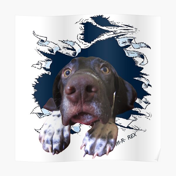 "GSP Funny face " Poster for Sale by TammyHunterArt | Redbubble