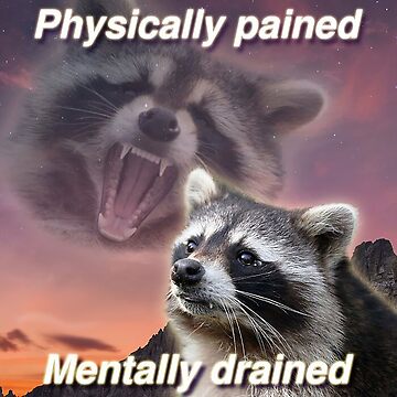 "Racoon Meme" Poster for Sale by gketheredge | Redbubble
