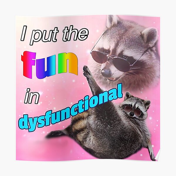 "Racoon Meme: I put the fun in dysfunctional" Poster for Sale by ...