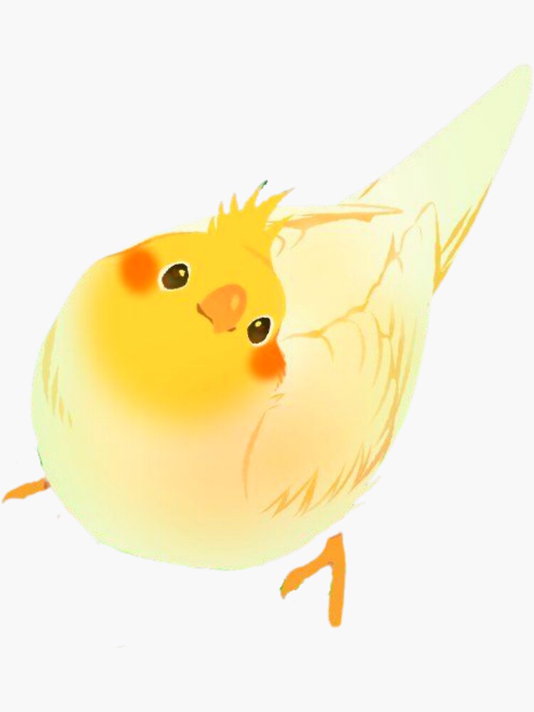 "Birdhism" Sticker for Sale by Dzzoni | Redbubble