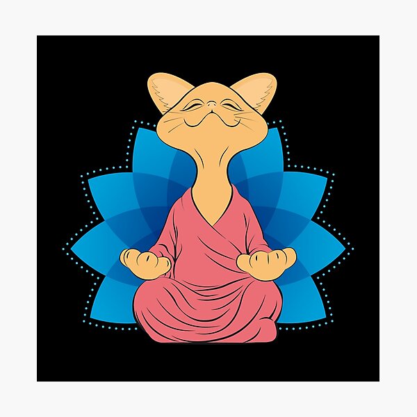 Lámina fotográfica «Gato Buda meditando - Gato gurú - Gato en posición ...