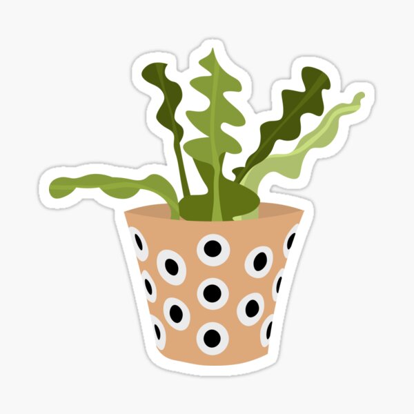 "Spotted Planter" Sticker for Sale by twentyfourdino | Redbubble