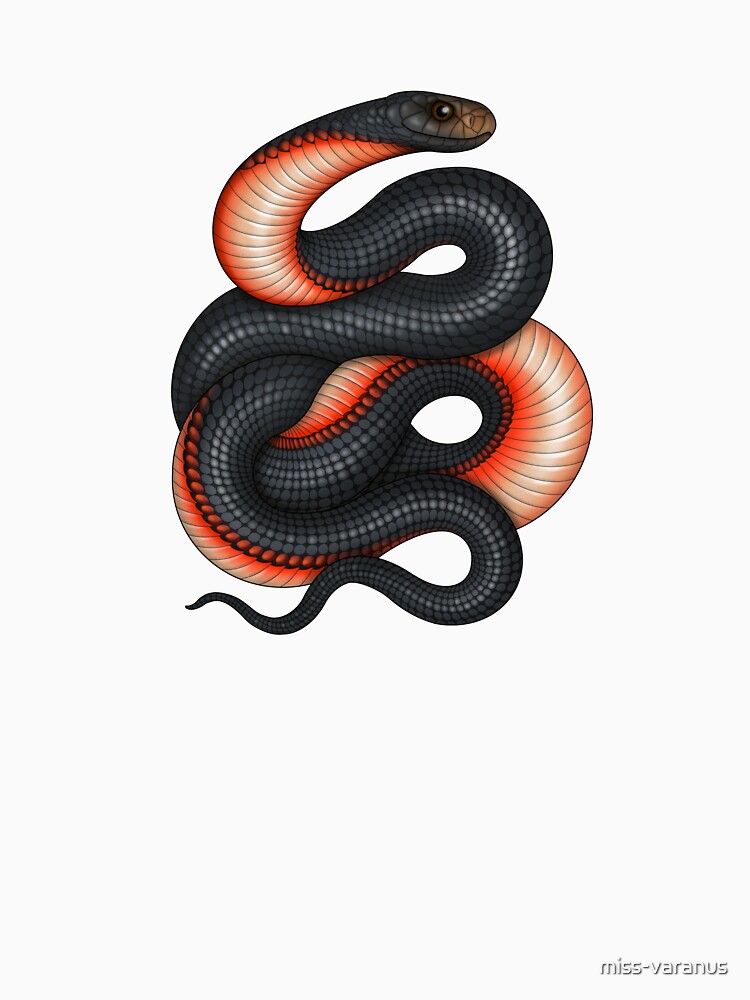 "Red-bellied Black Snake" T-shirt for Sale by miss-varanus | Redbubble ...