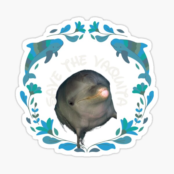 "Save The Vaquita, Vaquita Marina, Vaquita Art Cute Porpoise" Sticker ...