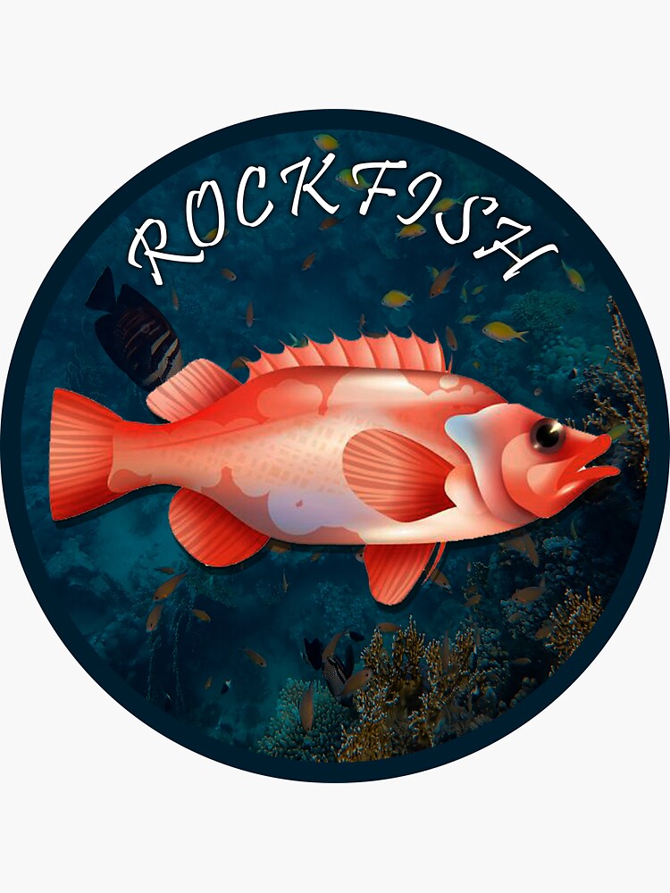 "Rockfish illustrator drawing - Red rock fish" Sticker for Sale by ...