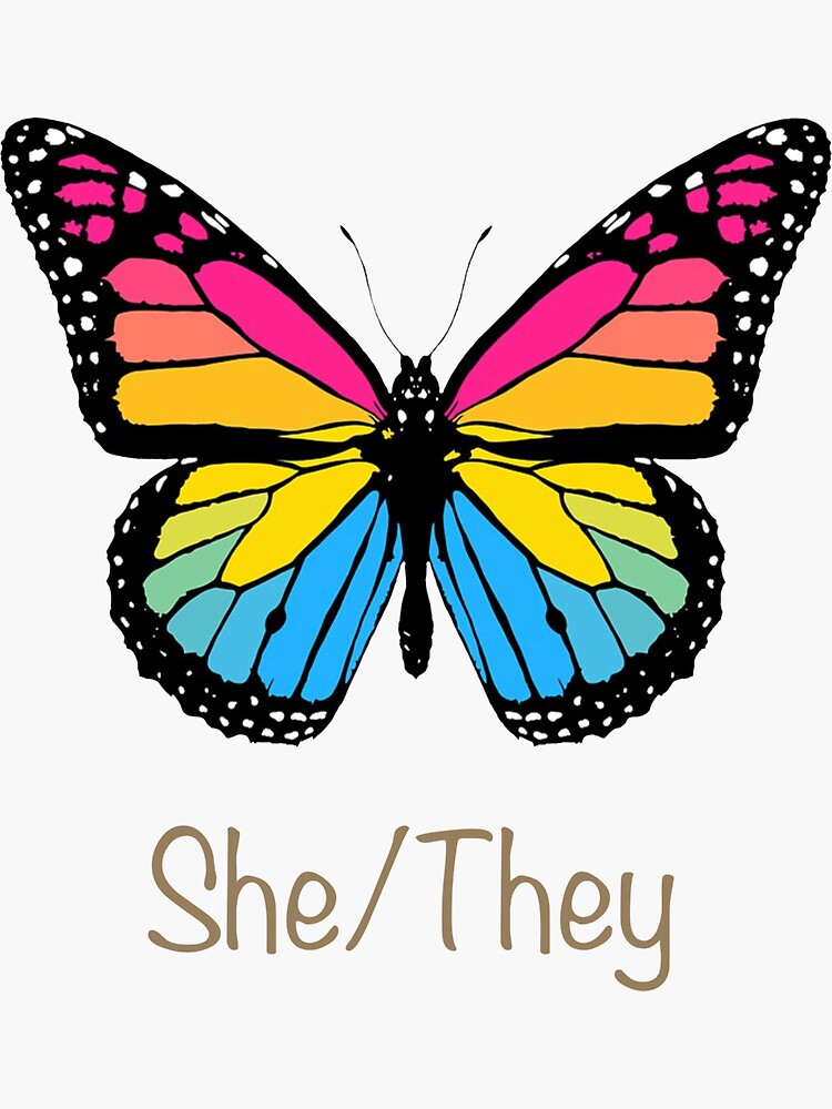 "Pan she/they pride butterfly" Sticker for Sale by StoryPlayer | Redbubble
