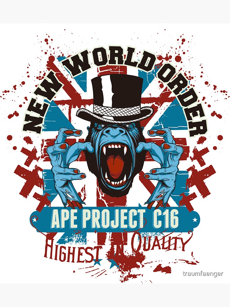 "New World Order" Sticker by traumfaenger | Redbubble
