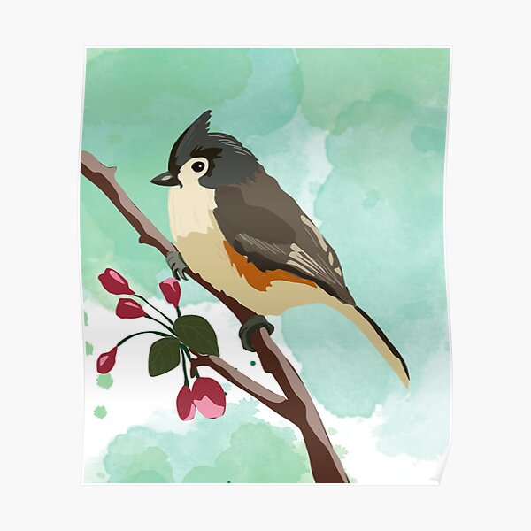 "Titmouse bird on green background wildlife design" Poster for Sale by ...