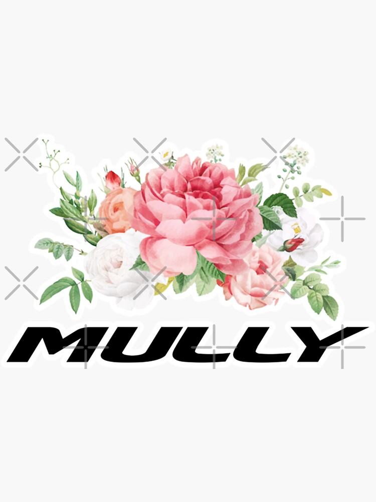 "mully.Hand drawn design Mully.gift " Sticker for Sale by GauthierShop ...