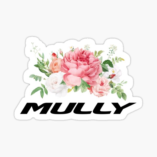 "mully.Hand drawn design Mully.gift " Sticker for Sale by GauthierShop ...