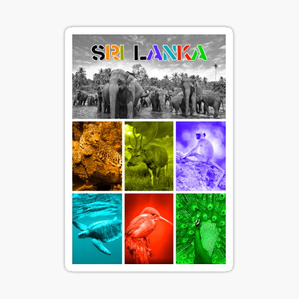 "sri lanka" Sticker for Sale by ceyloneye | Redbubble