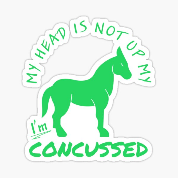" concussion, head injury, funny self deprecating, humorous, TBI ...