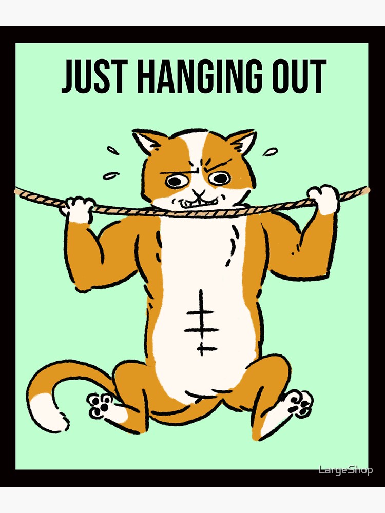 "Cat doing pull-ups" Sticker for Sale by LargeShop | Redbubble