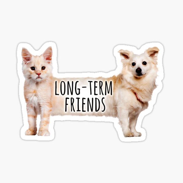 "Long-term Friends. Dogcat or Catdog?" Sticker for Sale by LinoLuno ...