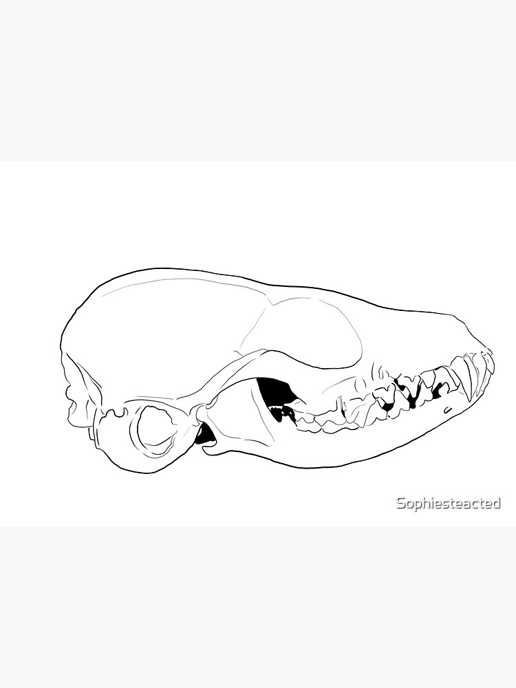 "Fennec fox skull digital line work art" Sticker for Sale by ...