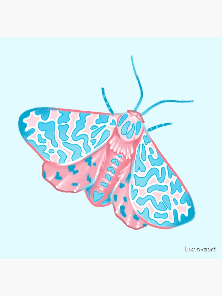 "Trans Pride Moth Painted Tiger Moth LGBTQ+" Poster for Sale by ...