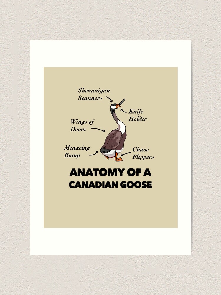 "Anatomy Of A Canadian Goose" Art Print for Sale by TheUnknown93 ...